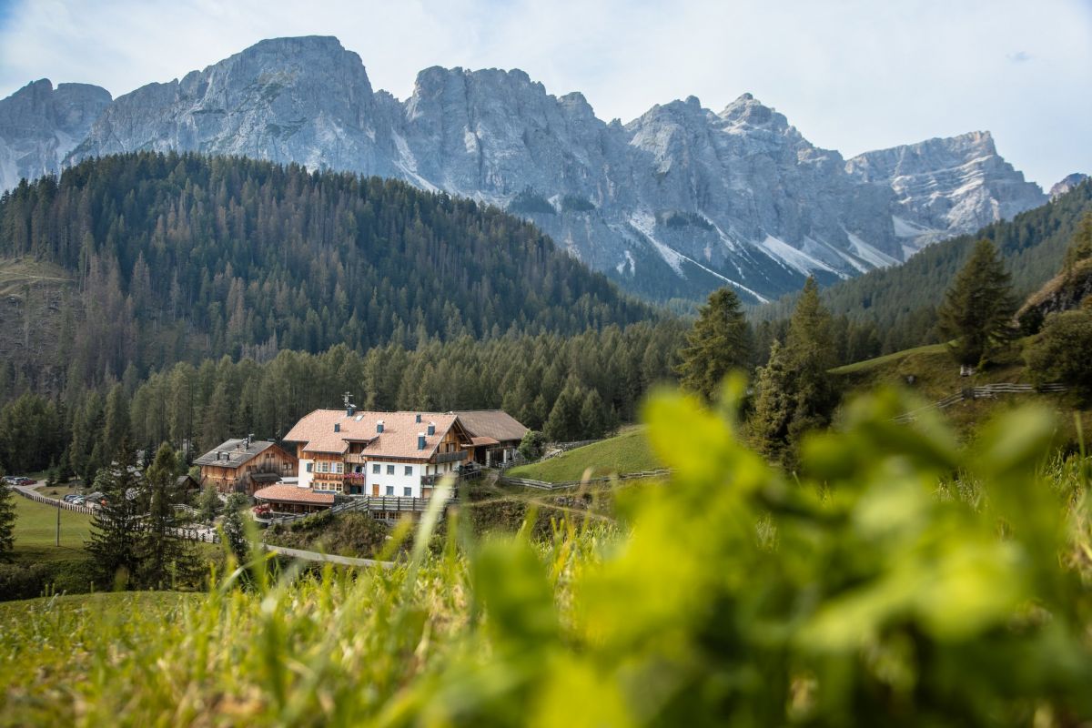Holiday on a farm in Longiarù - unspoilt nature, tranquillity and Ladin ...